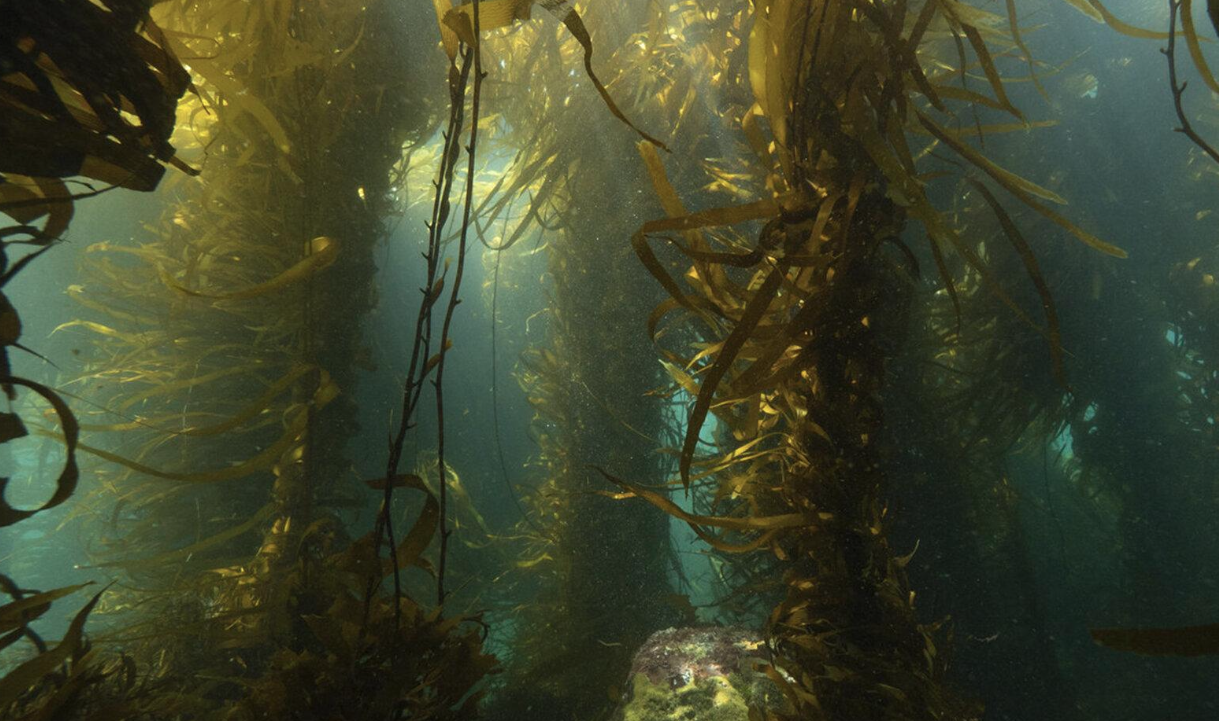 The great thing about our southern coastline | Blog | BehaviourWorks Australia